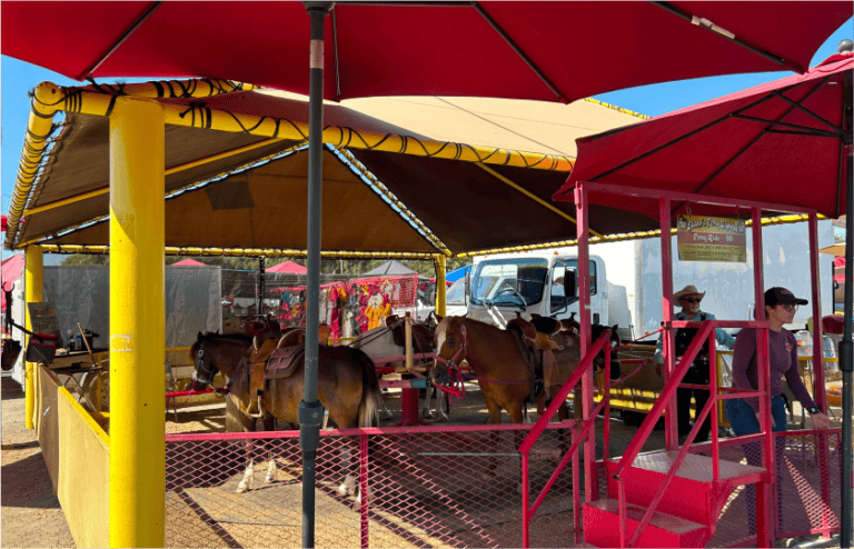 Visit – Cherry Avenue Auction